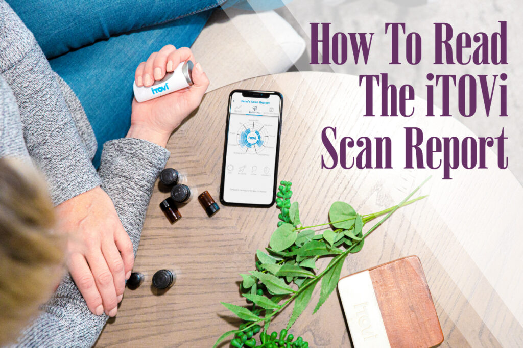 How to Read the Scan Report | iTOVi